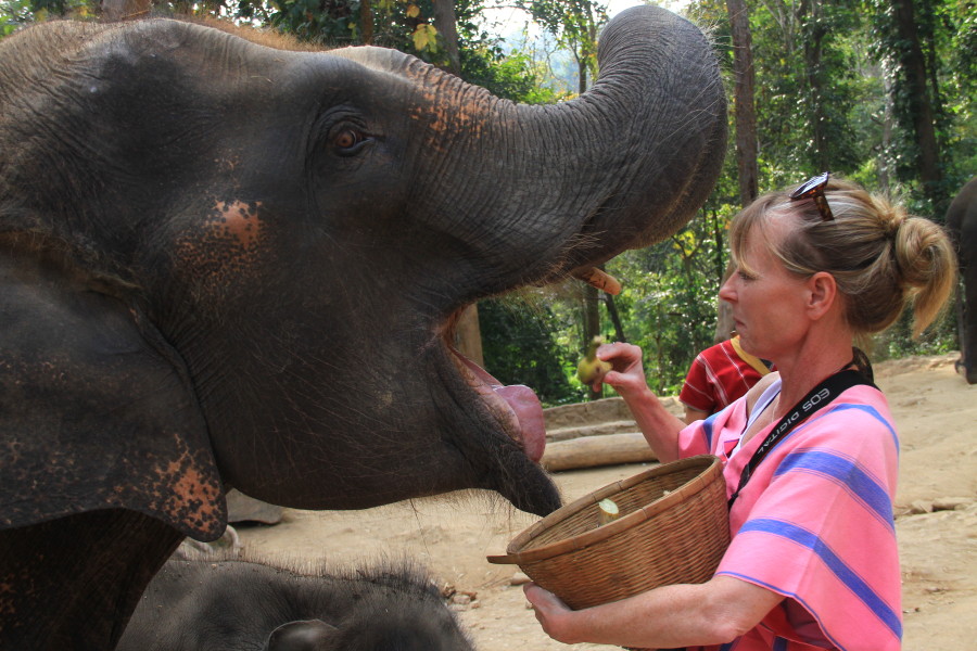 Thailand’s Best Dessert: Sticky Rice | For A Digestive Peace of Mind ...