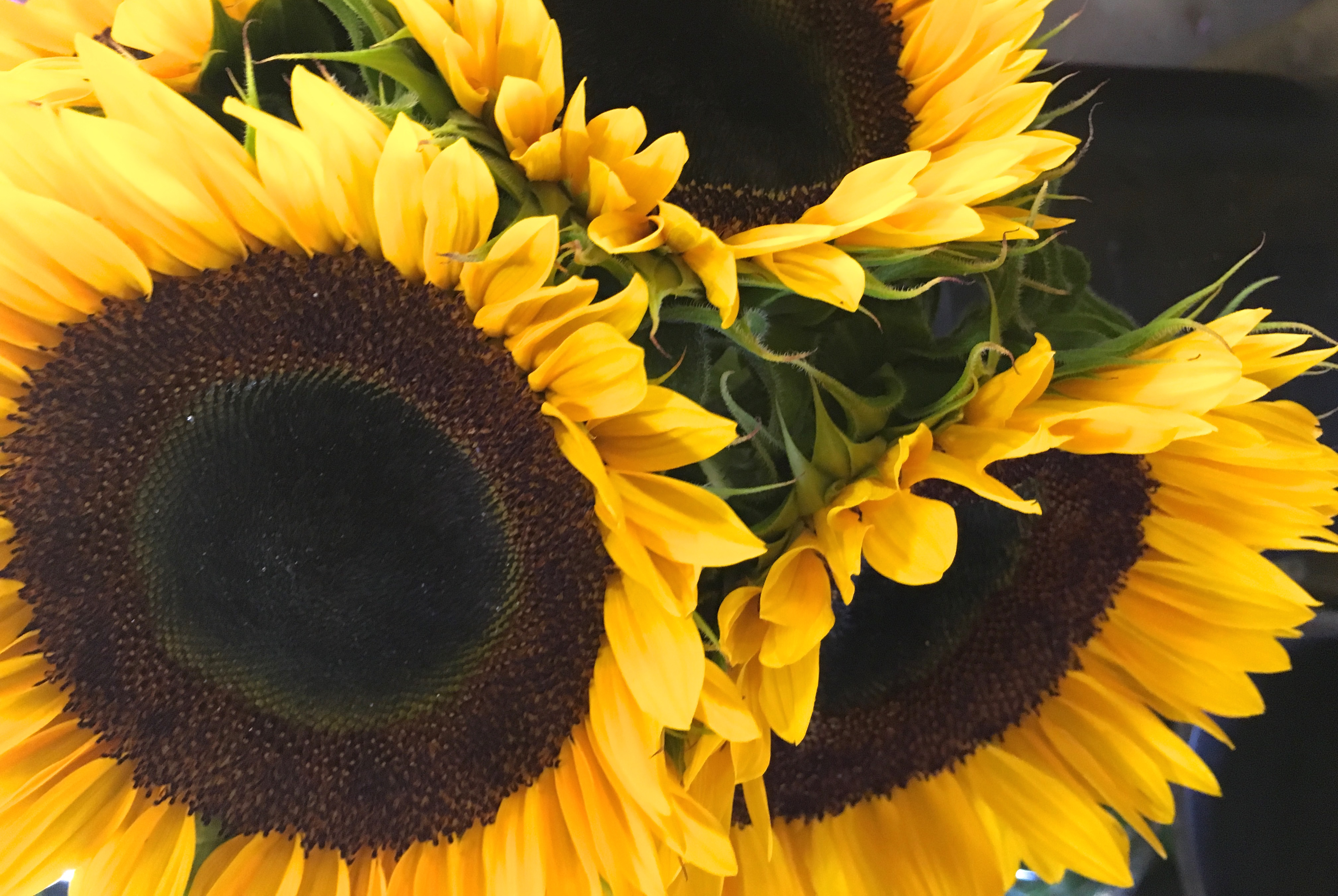 10 Tips on Living Life to the Fullest with IBS &/or SIBO | For A ...