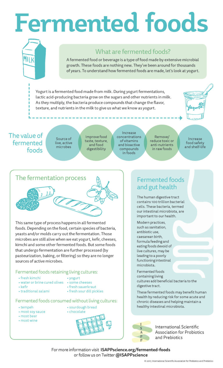 Fermented Foods for Health: Fact vs. Fiction | For A Digestive Peace of ...